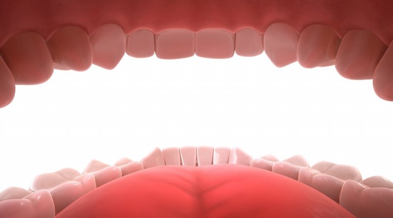 ¿Qué es la dimensión vertical y por qué es importante? – Estudi Dental ...